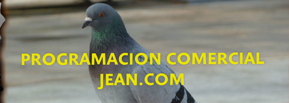 SILLA DE RUEDA :: JEAN ORTIZ